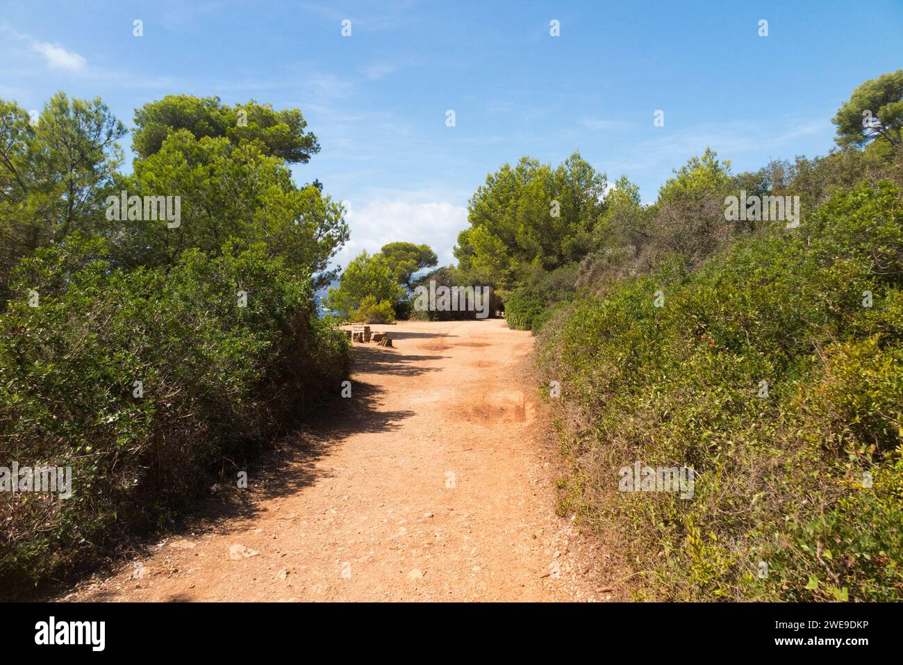Footpath, with trees, on Île Sainte-Marguerite / Island of Saint ...