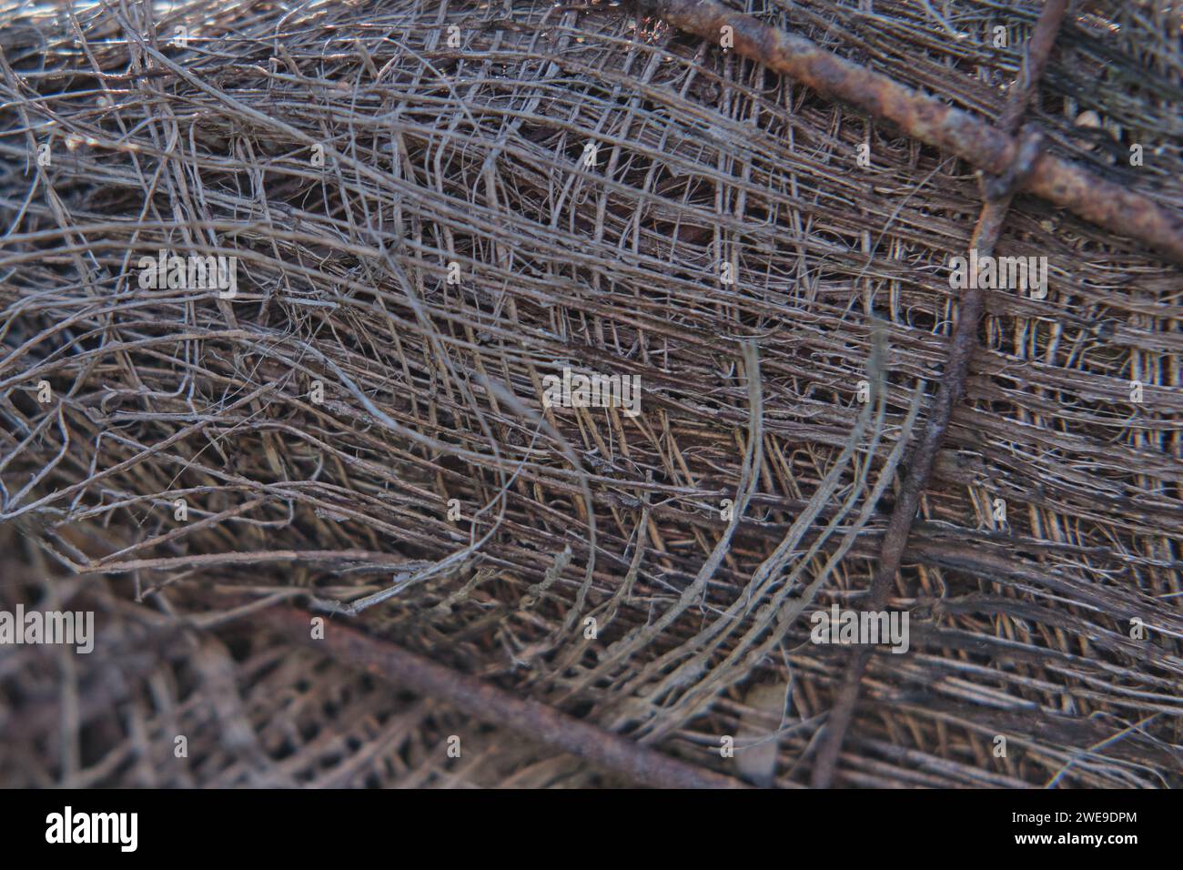 reed texture made of pieces of wood joined together in depth ...
