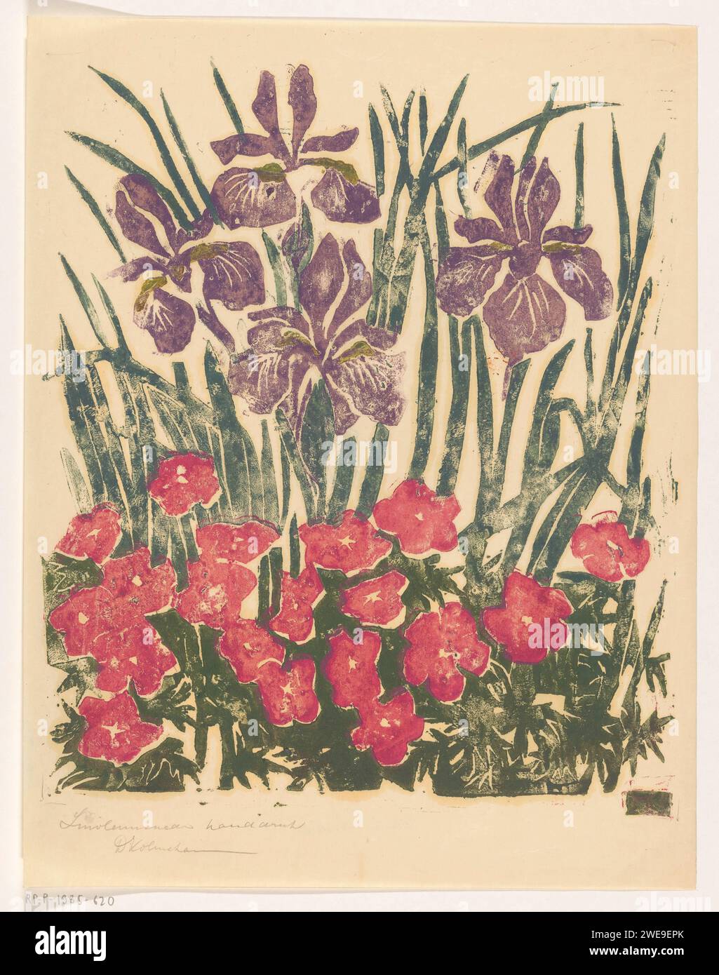 Lissen and other flowers, Dinah Kohnstamm, 1879 - 1935 print paper ...