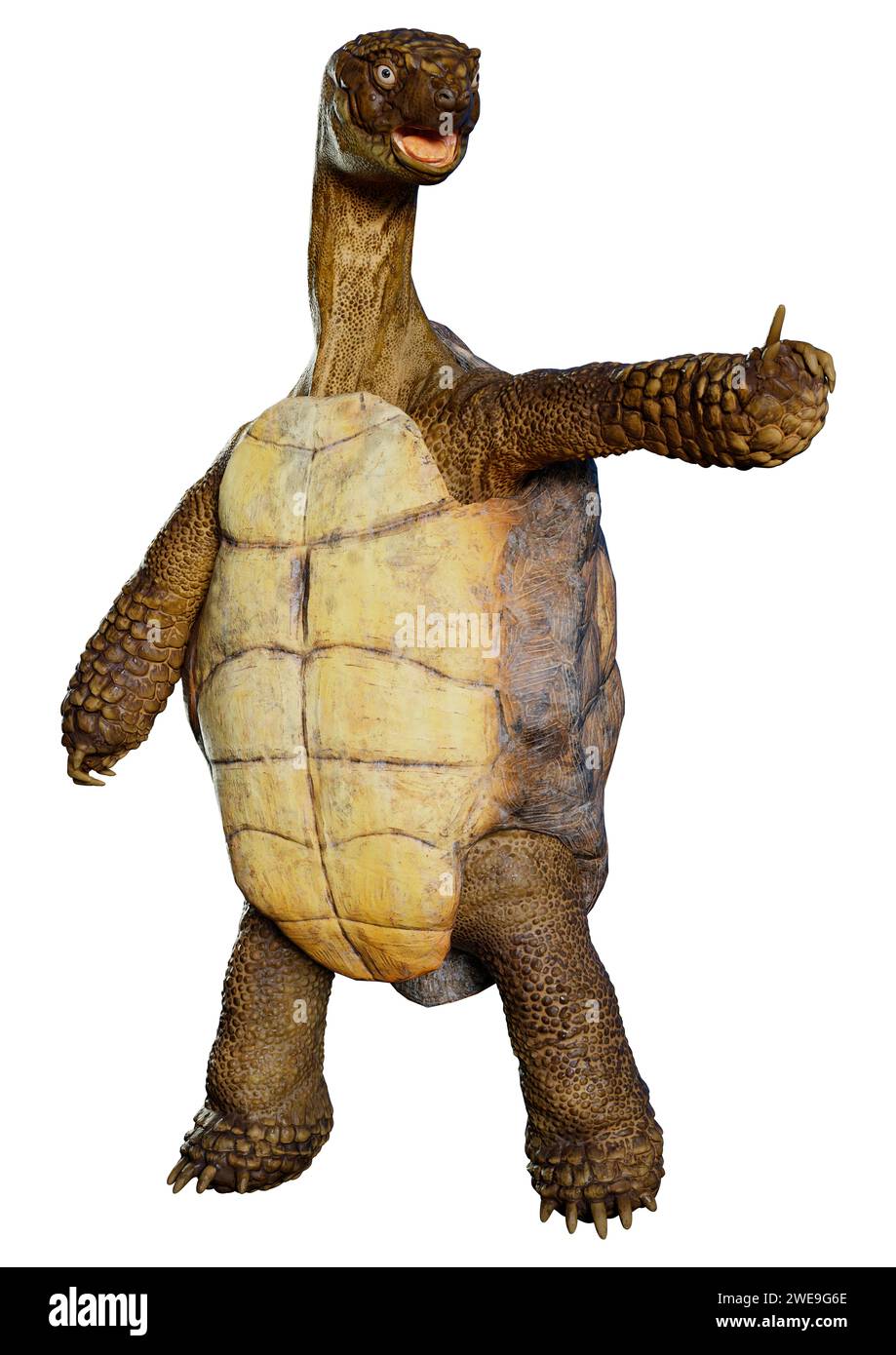 3D rendering of a sea turtle isolated on white background Stock Photo ...