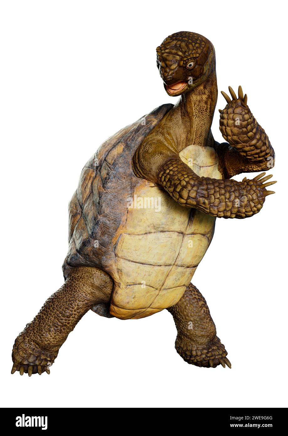 3D rendering of a sea turtle isolated on white background Stock Photo ...