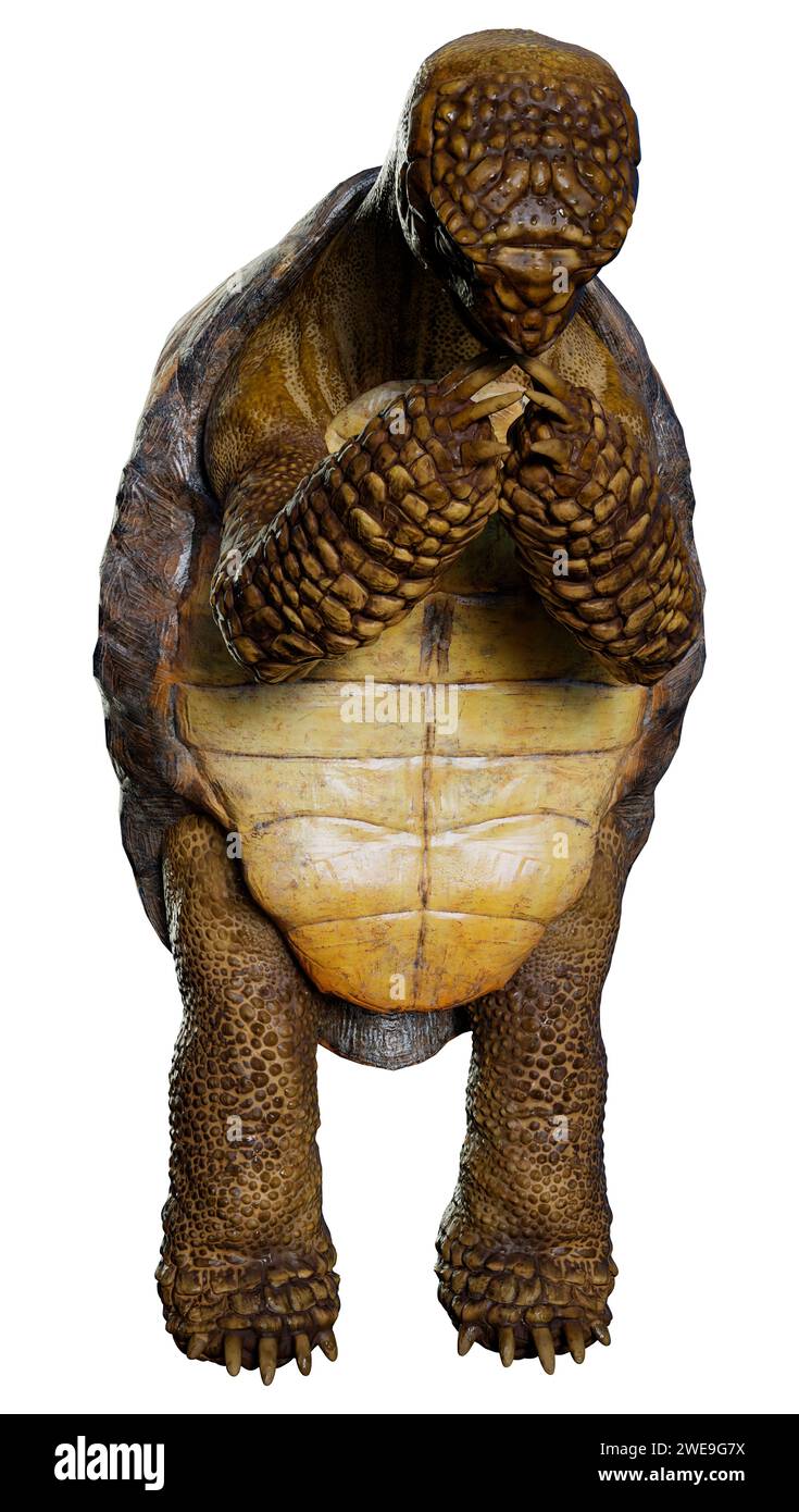 3D rendering of a sea turtle isolated on white background Stock Photo ...