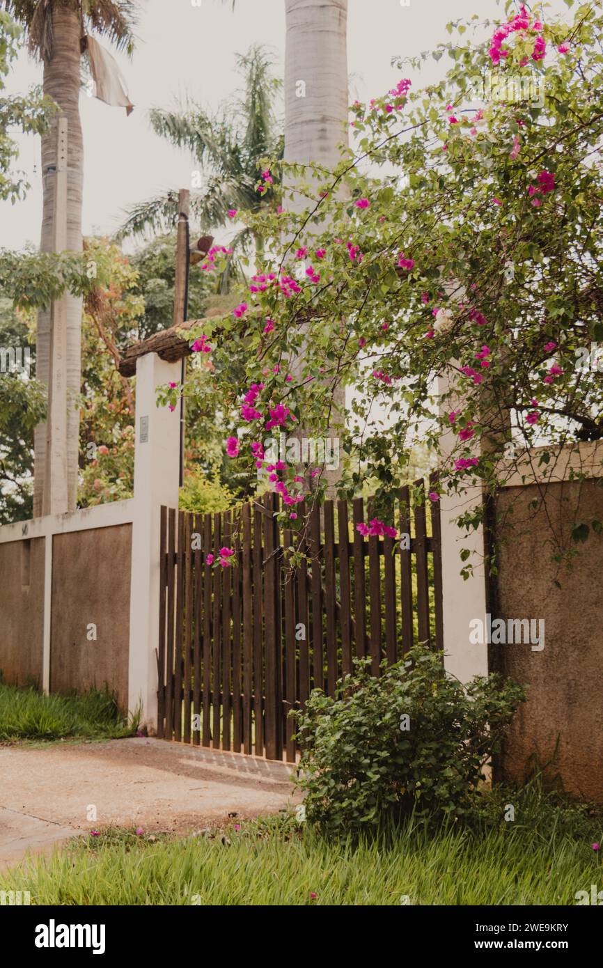Rural floral landscape hi-res stock photography and images - Alamy