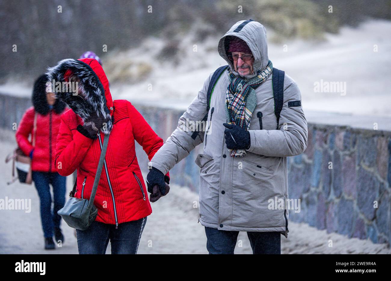 Rostock, Germany. 24th Jan, 2024. In stormy weather, walkers are out ...