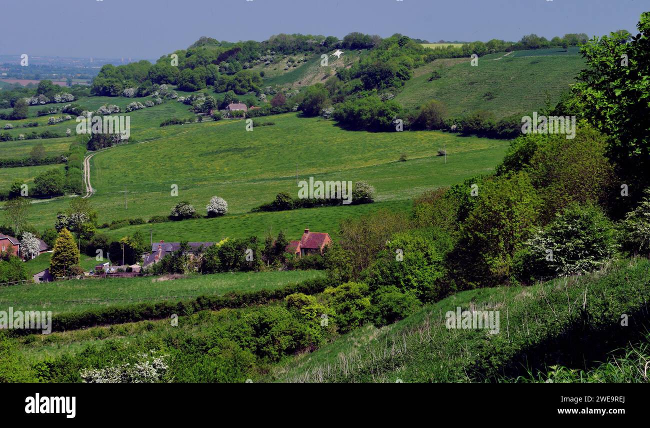 The rural landscape below the Broad Town escarpment in North Wiltshire ...