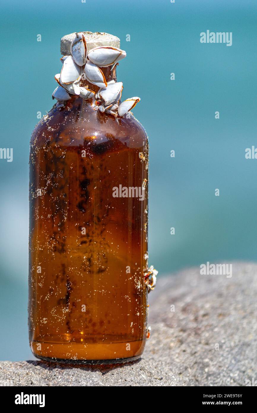 Secret message bottle hi-res stock photography and images - Alamy