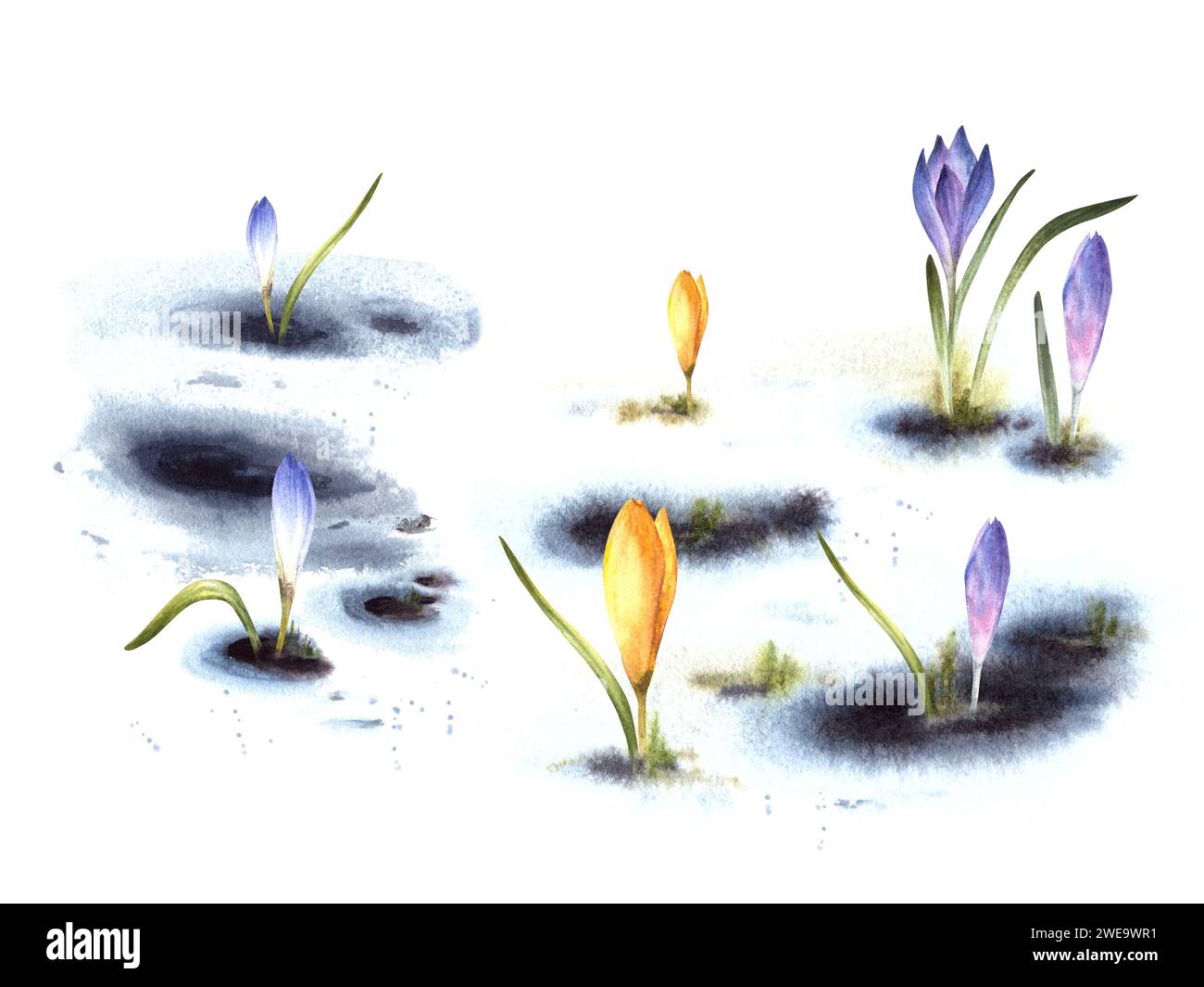 Watercolor painted illustration Arrival of spring, the awakening of ...