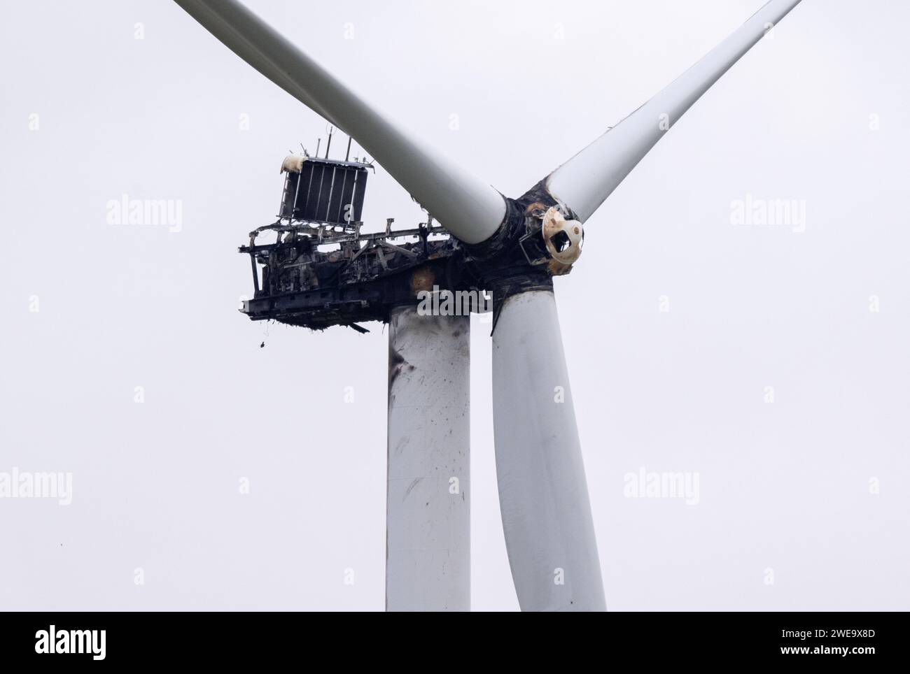 Greifswald, Germany. 24th Jan, 2024. The nacelle of a wind turbine near ...