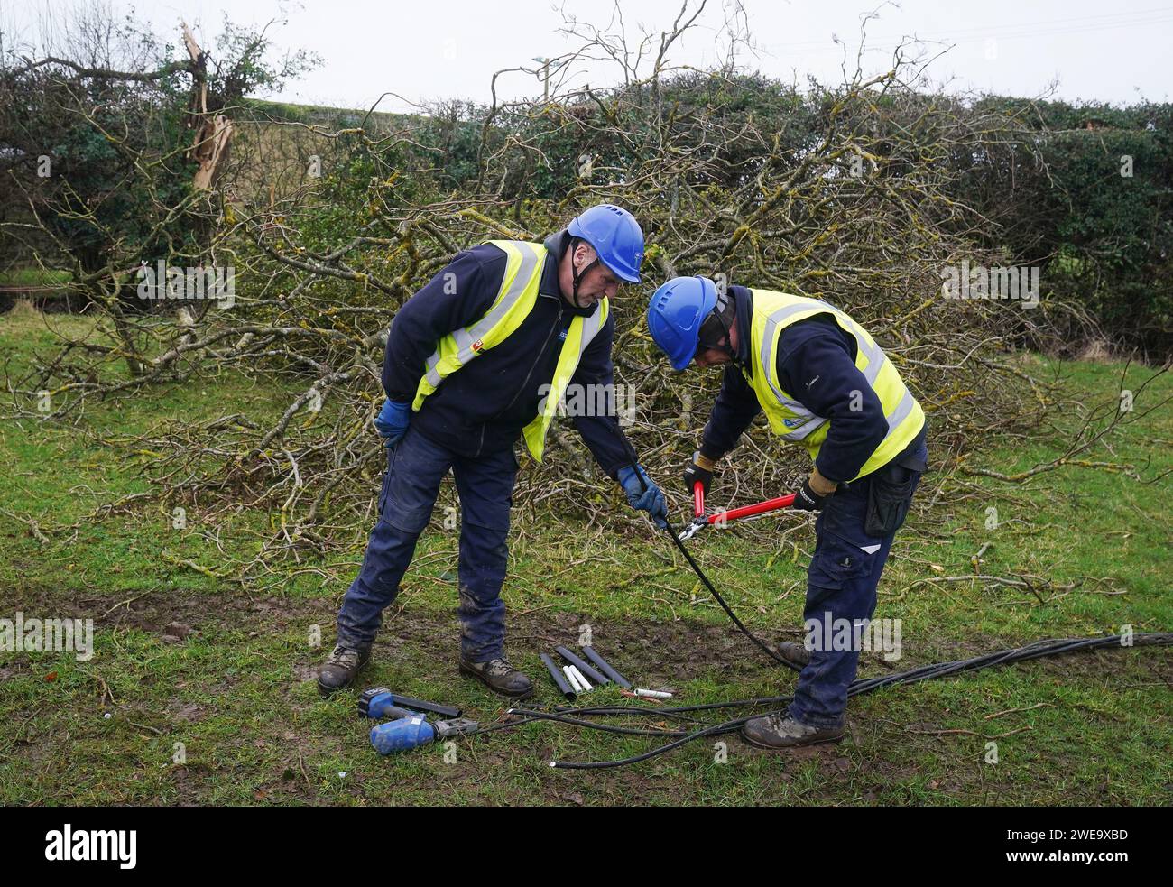 Restoratives hi-res stock photography and images - Alamy