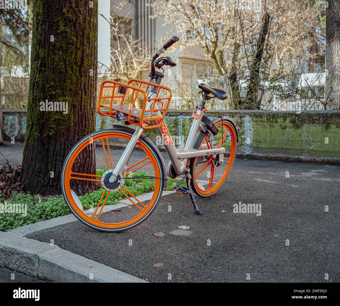 Bologna, Italy. A rental electric bicycle: for sustainable city ...