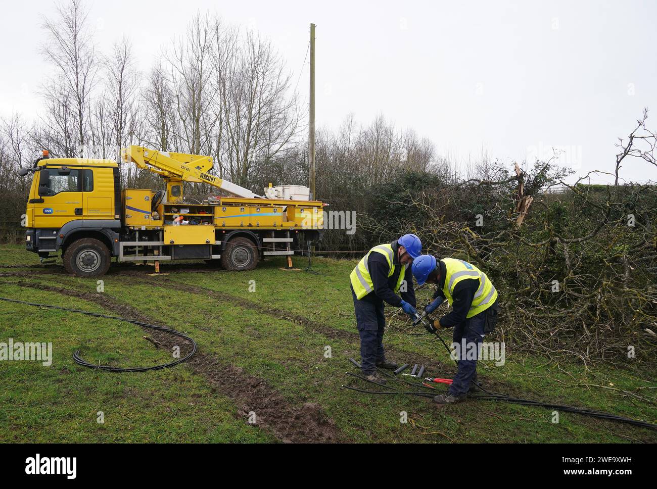 Restoratives hi-res stock photography and images - Alamy