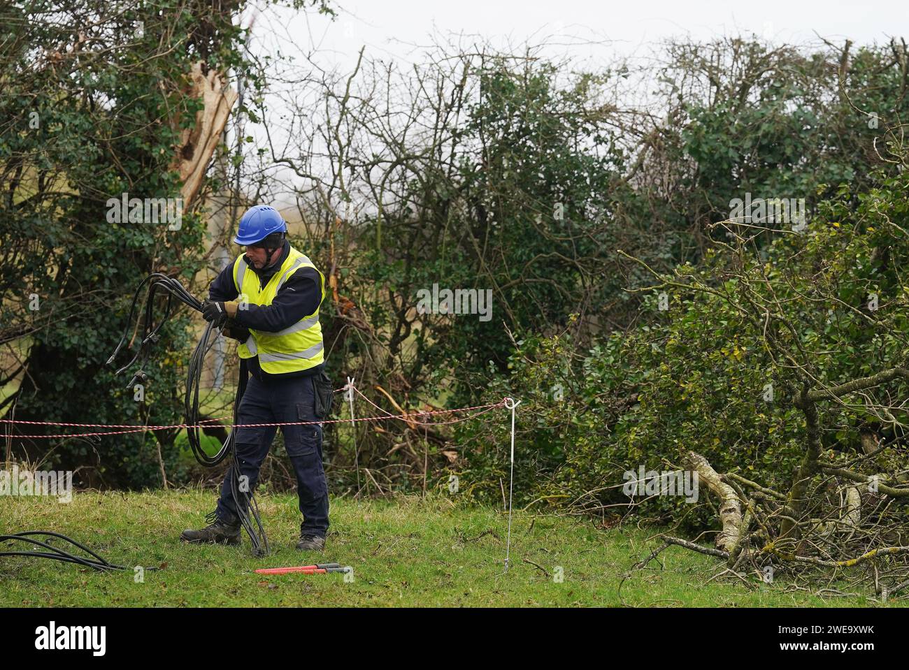 Restoratives hi-res stock photography and images - Alamy