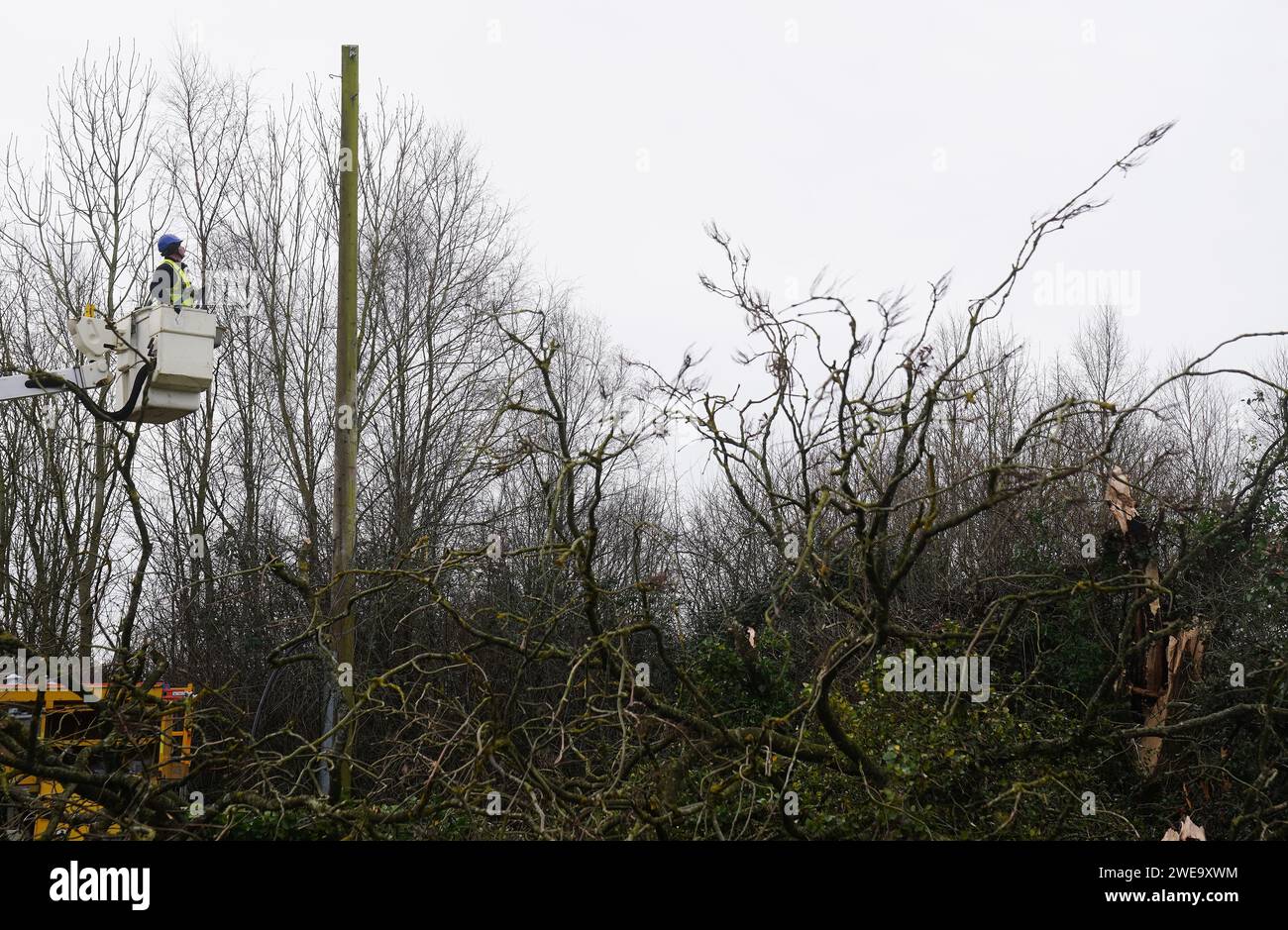 Restoratives hi-res stock photography and images - Alamy