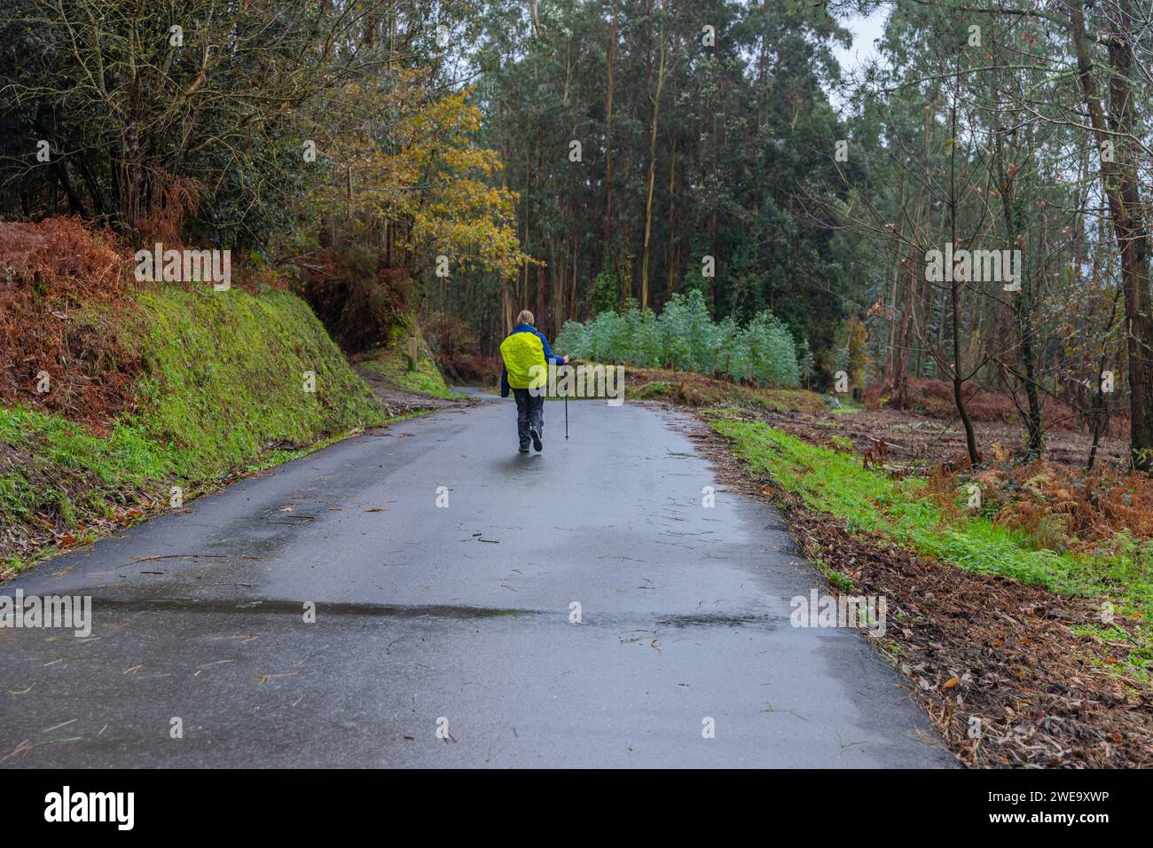 Galicia, Spain, 1 January, 2024: Pilgrim walk along the Camino De ...