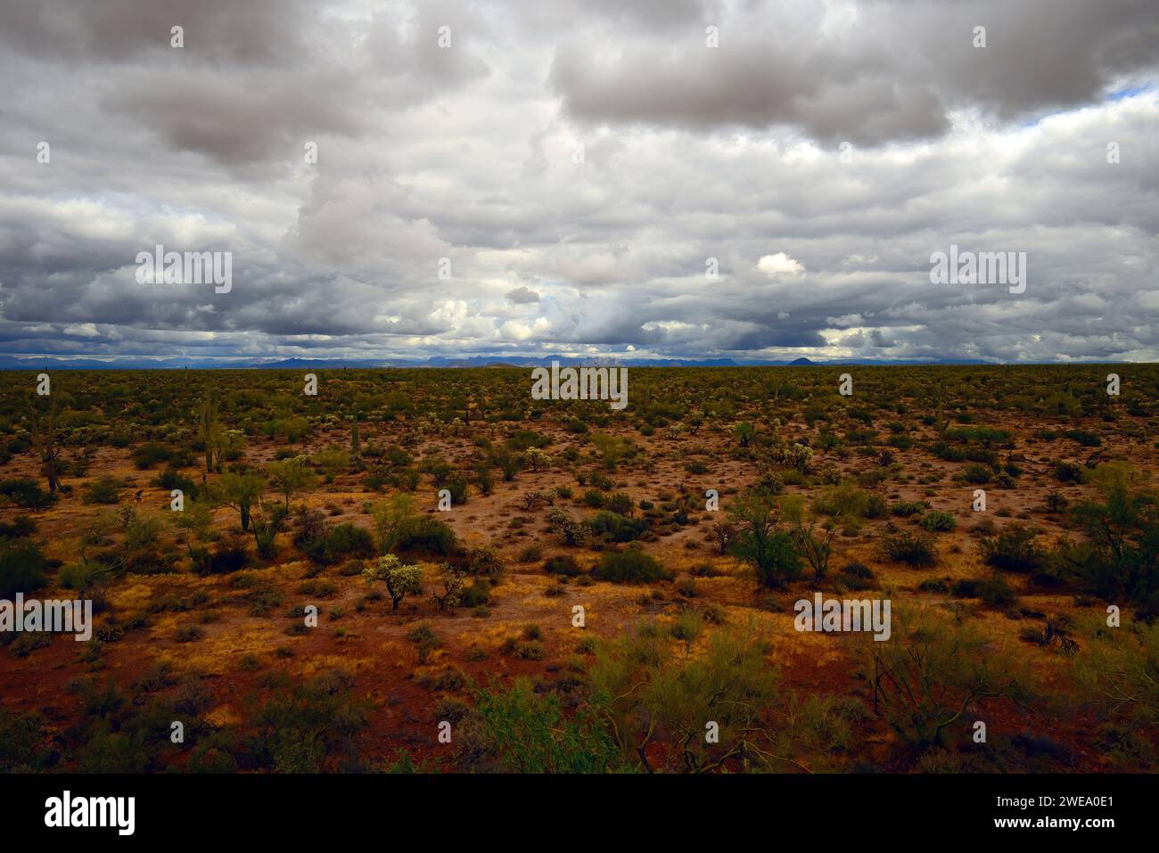 Storm clouds forming over The Vast Sonora desert in central Arizona USA ...