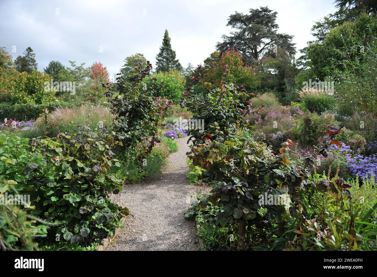 The Picton Garden by The Old Court Nurseries, home to the National ...