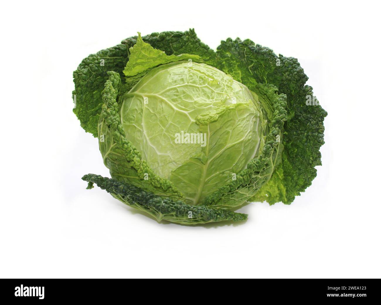 savoy cabbage leaves isolated, for banner sign, menu card, vegan ...