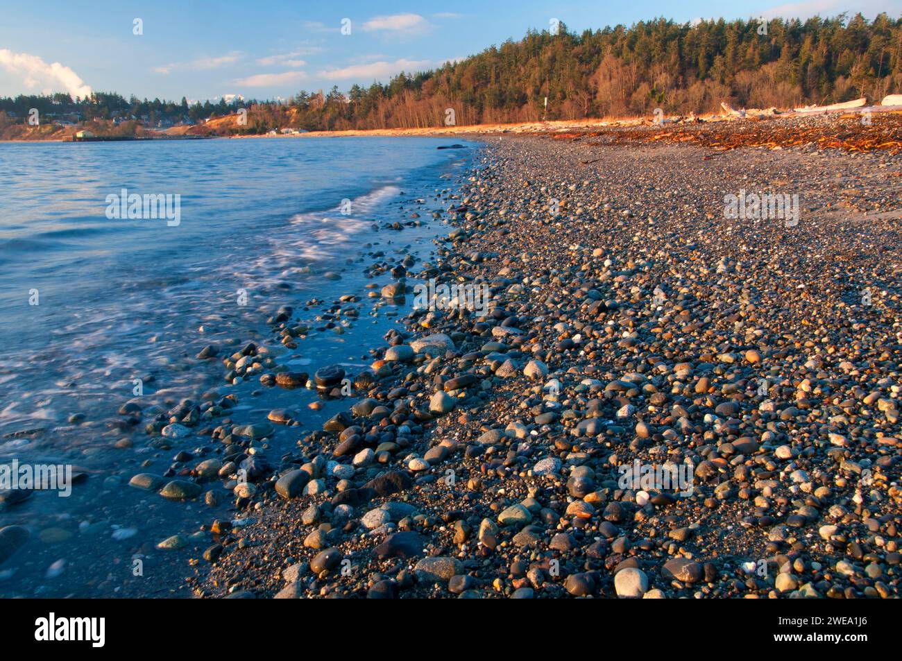 Beach on Admiralty Inlet, Fort Worden State Park, Washington Stock ...