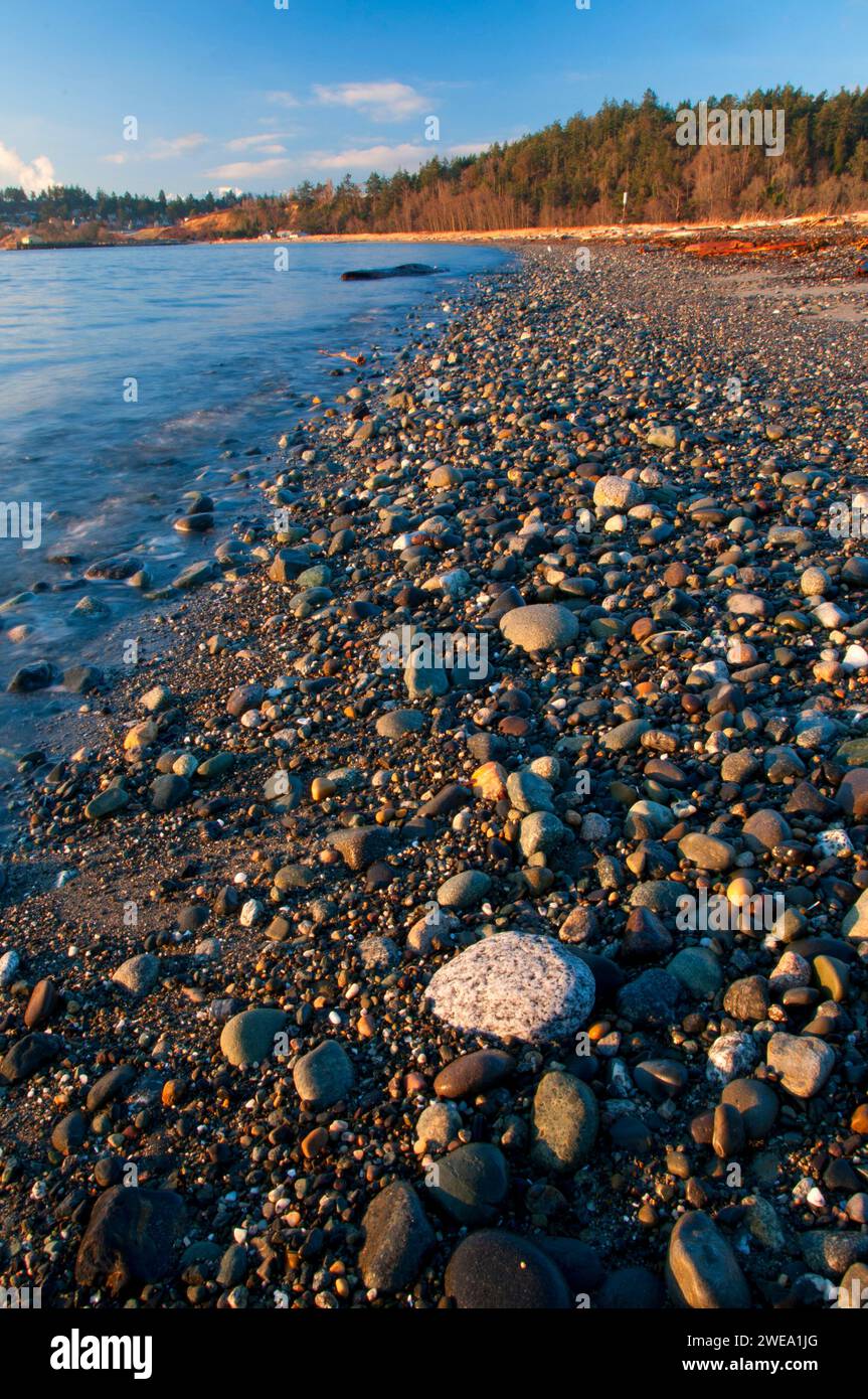Beach on Admiralty Inlet, Fort Worden State Park, Washington Stock ...