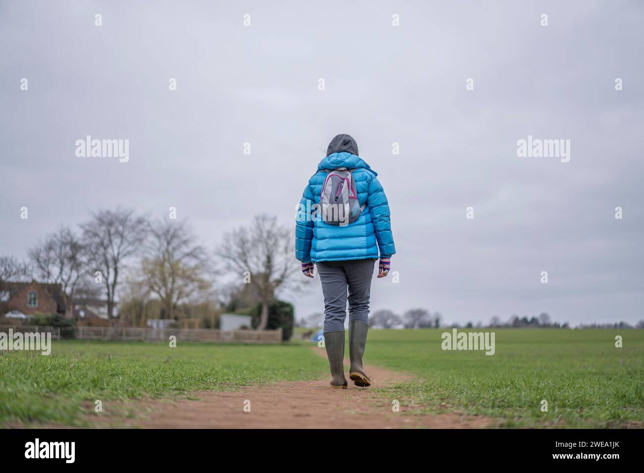 Rear view of a female walker strolling across a track in a farmers ...