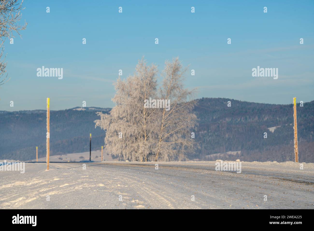Morning surface hi-res stock photography and images - Alamy