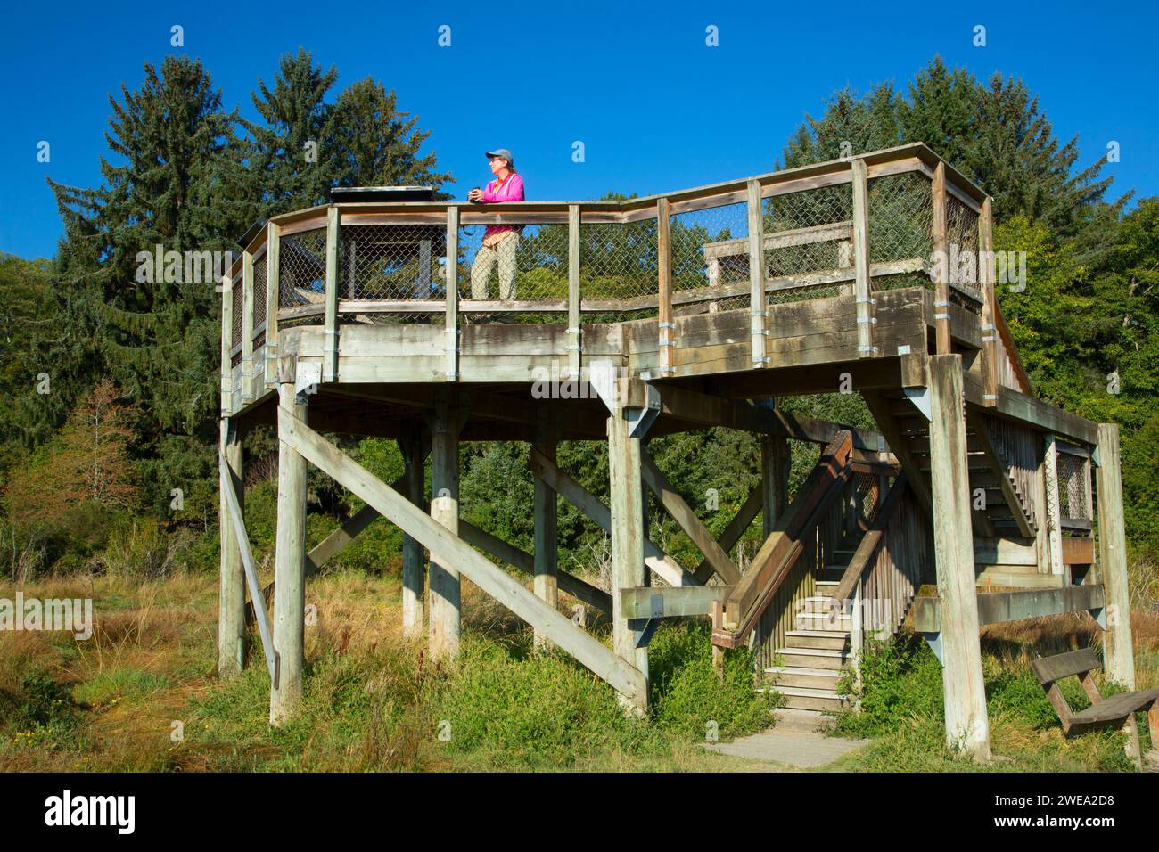 Hood Canal observation platform, Dosewallips State Park, Washington ...