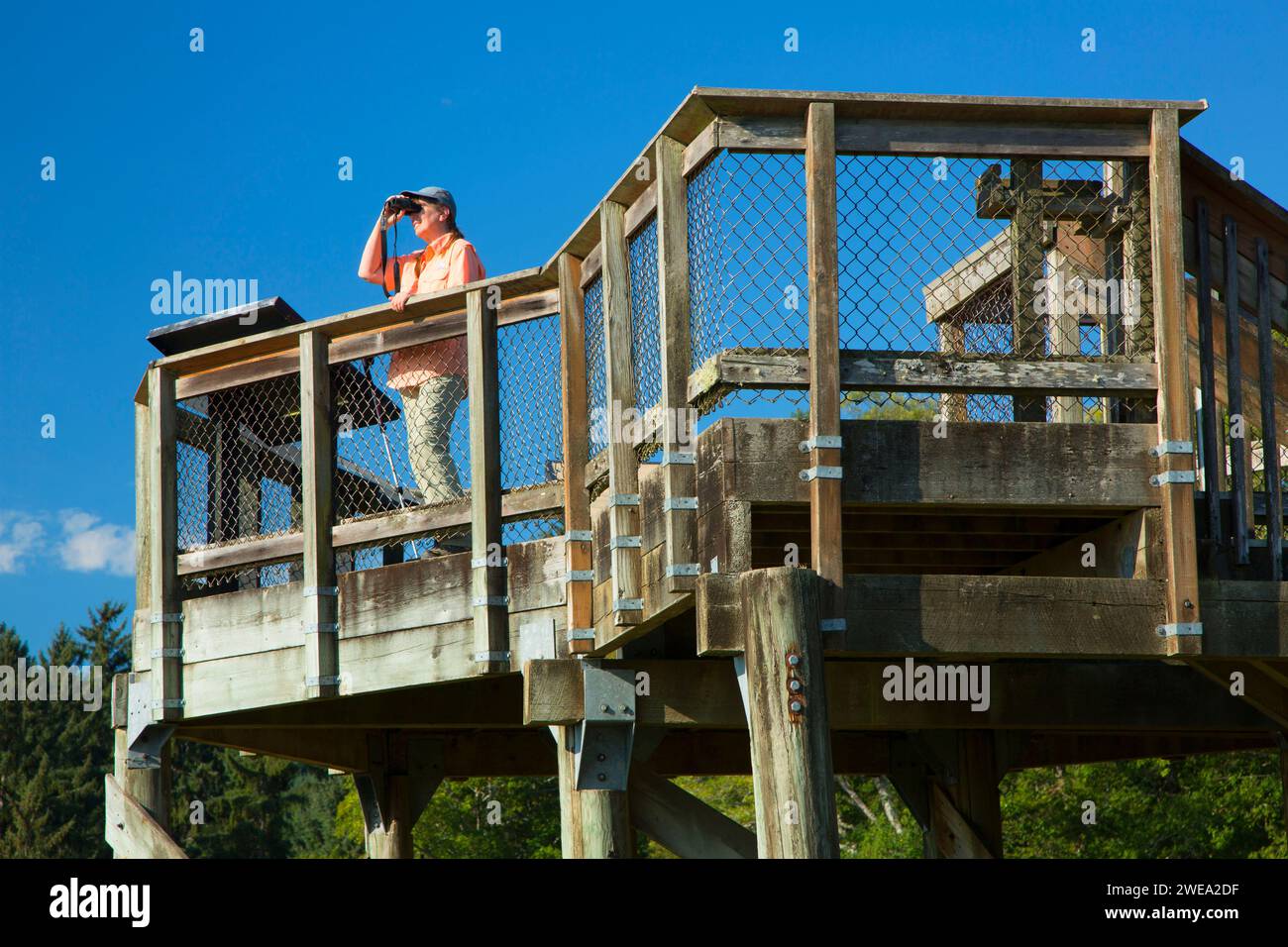 Hood Canal observation platform, Dosewallips State Park, Washington ...