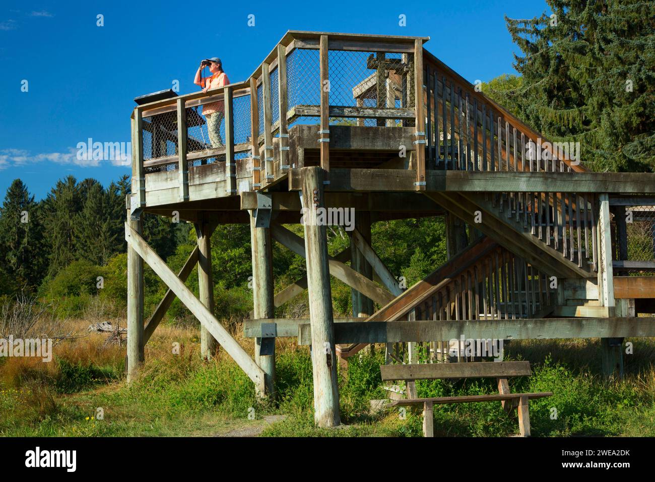 Hood Canal observation platform, Dosewallips State Park, Washington ...