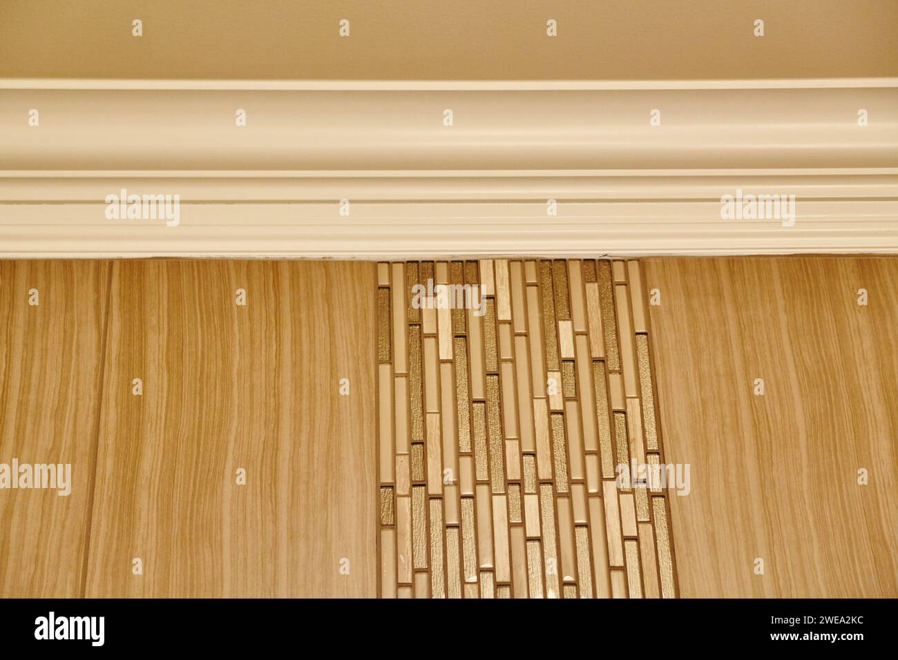 Elegant Interior Design with Geometric Wall Panel and Crown Molding ...