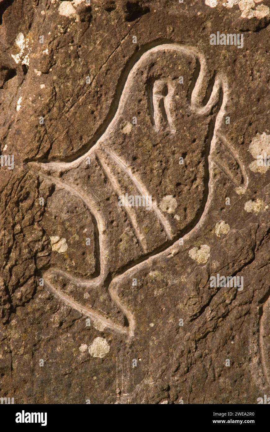 Petroglyph at Wedding Rock, Olympic National Park, Washington Stock ...