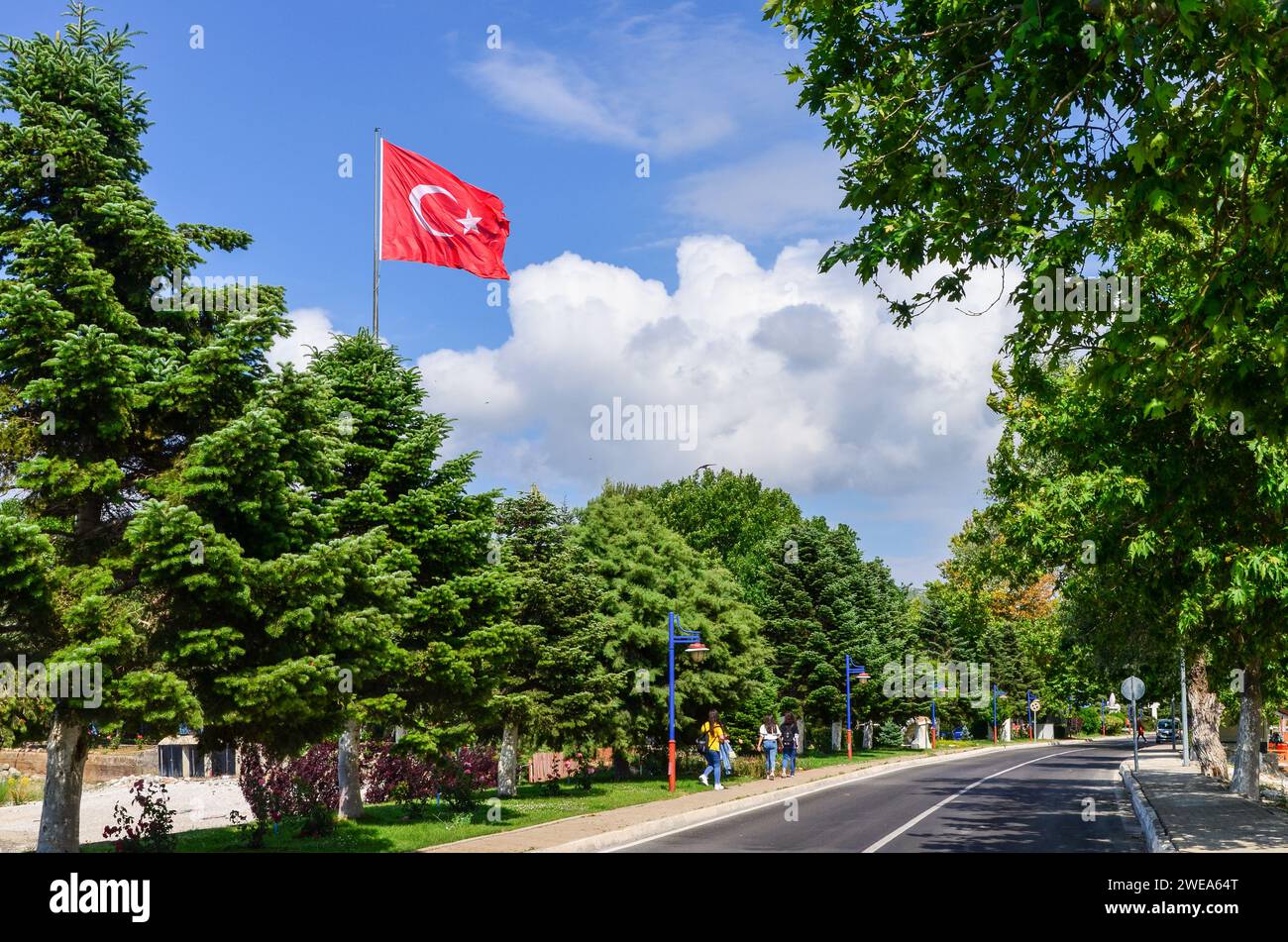 A Turkish flag waving over a clear road lined with lush green trees ...