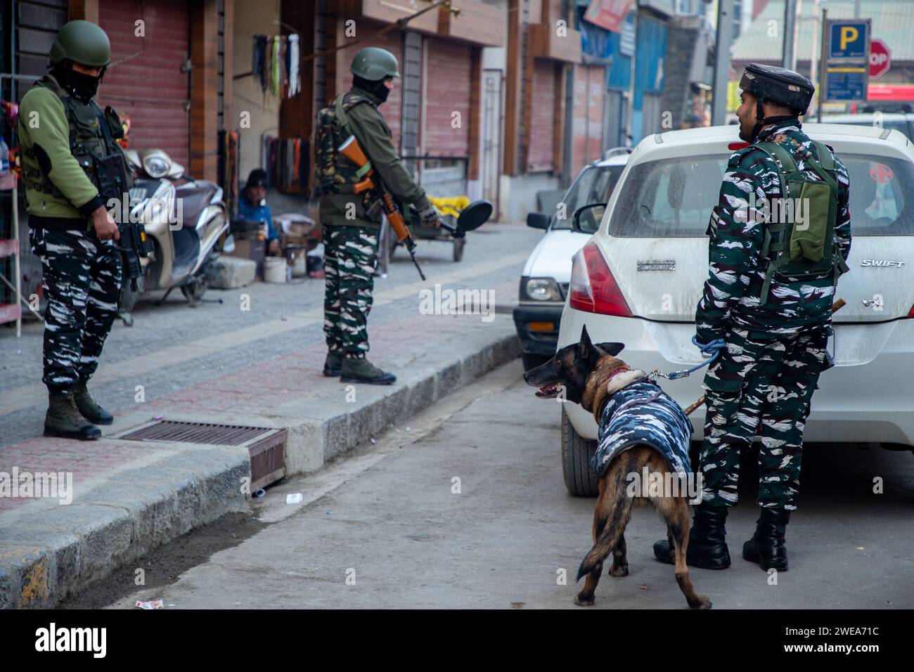 Indian paramilitary troopers along with the sniffer dog, patrol the ...