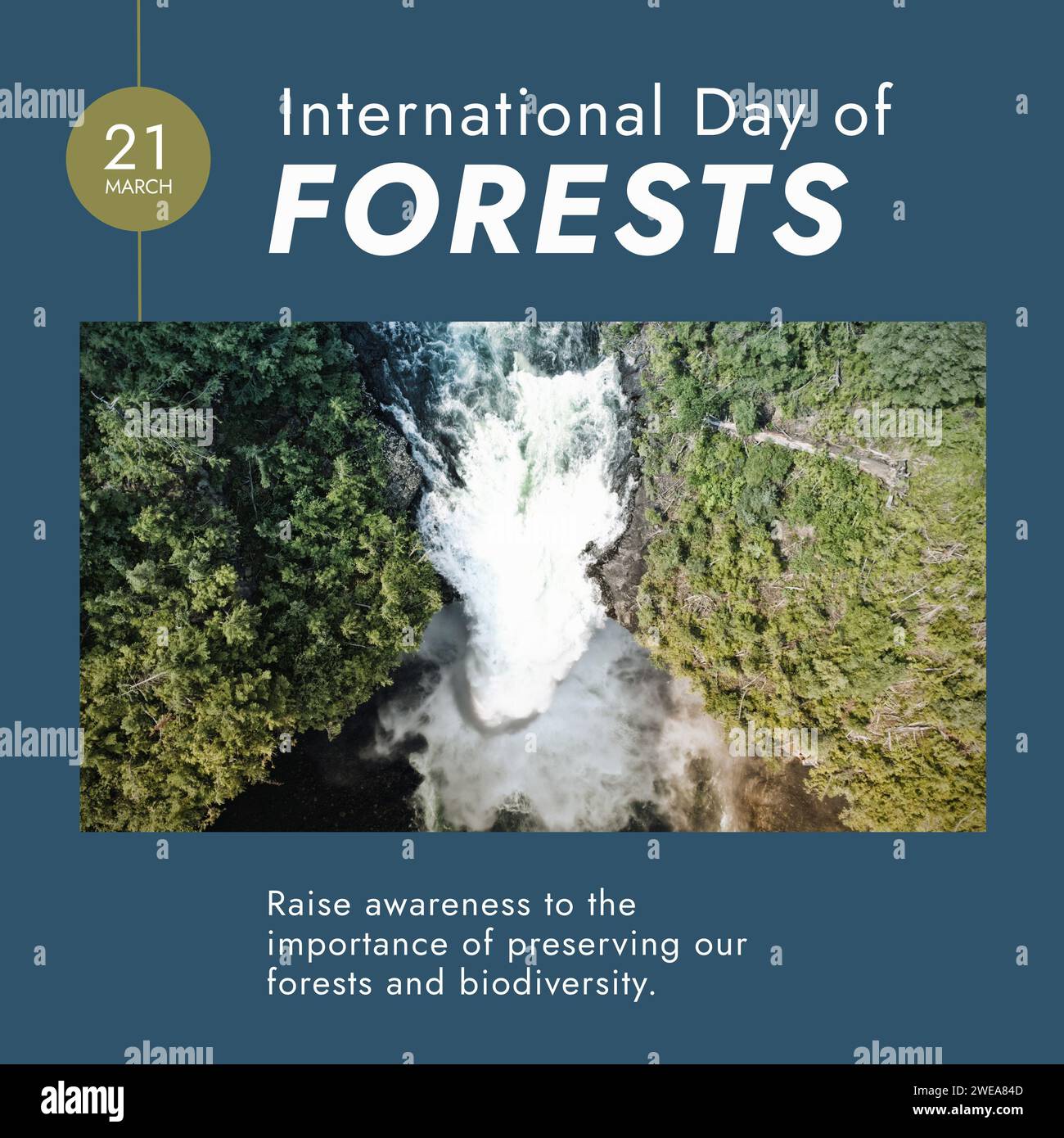 Composition of international day of forests text over forest on blue ...