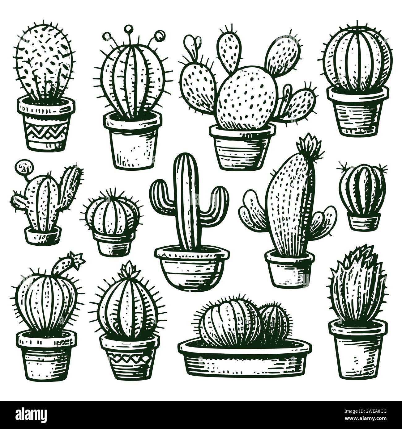 Set of cactuses, hand drawn vector illustration Stock Vector Image ...