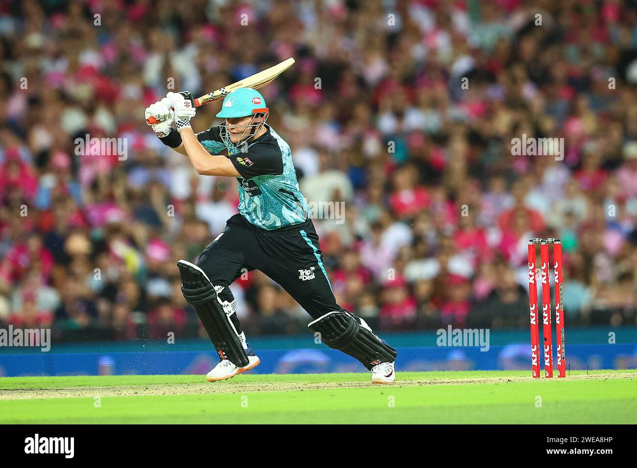 Max bryant of the brisbane heat hi-res stock photography and images - Alamy