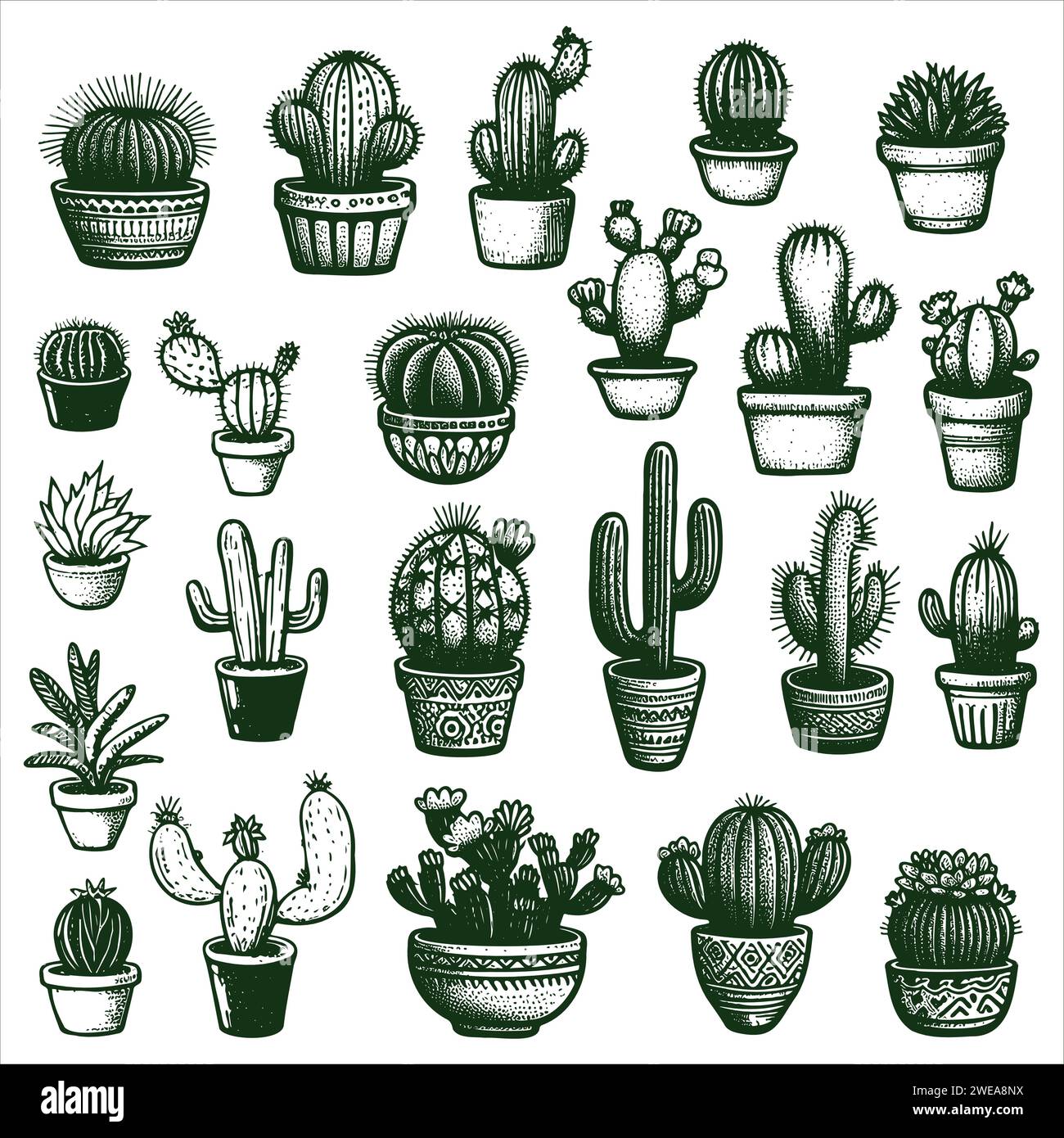 Hand Drawn cactus vector illustration. A set of vector illustration ...