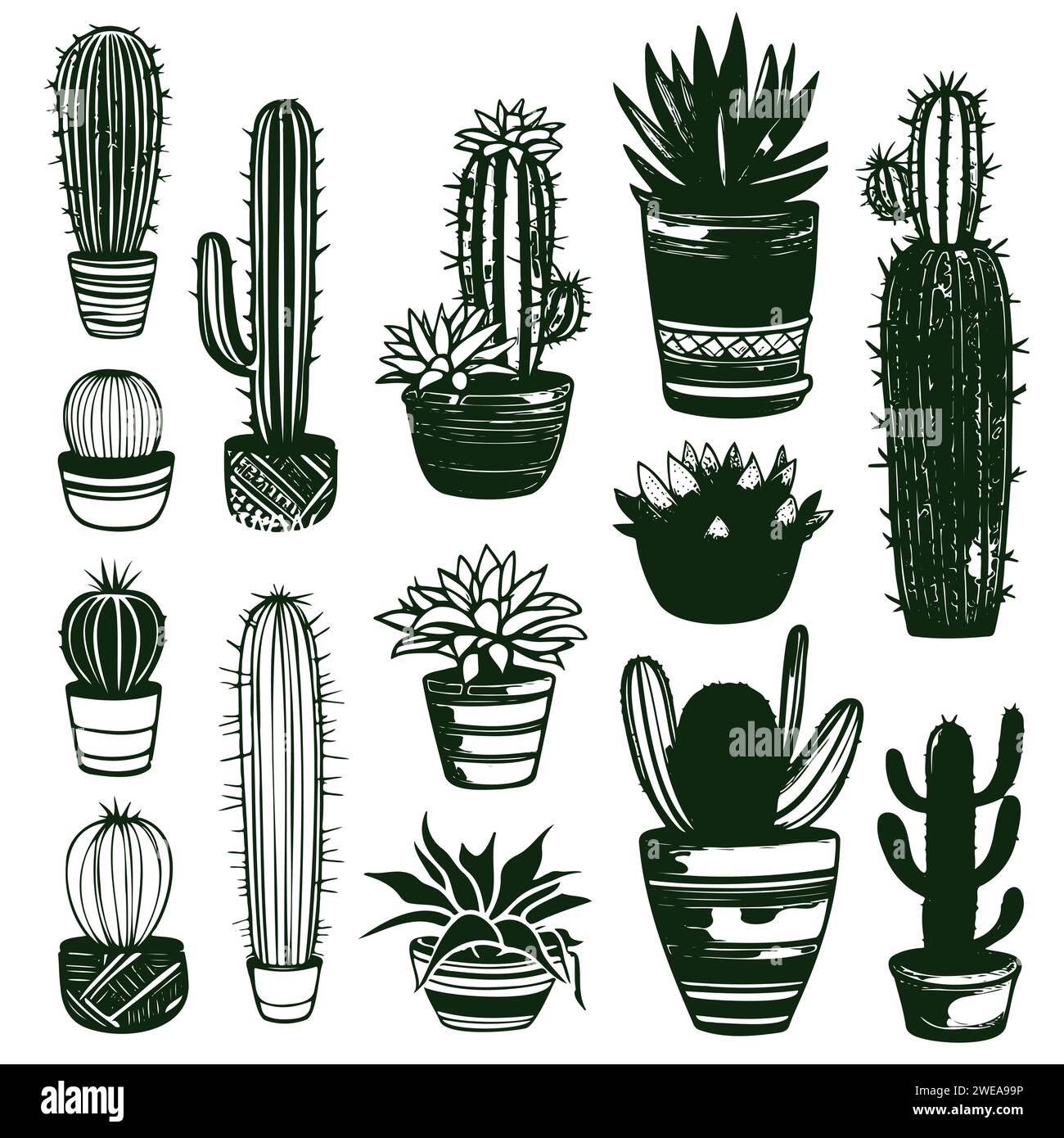 Hand drawn cactus. Western desert cacti mexican plants in sketch style ...