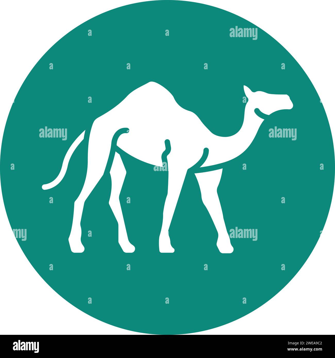 Camel line icon concept Stock Vector Images - Alamy