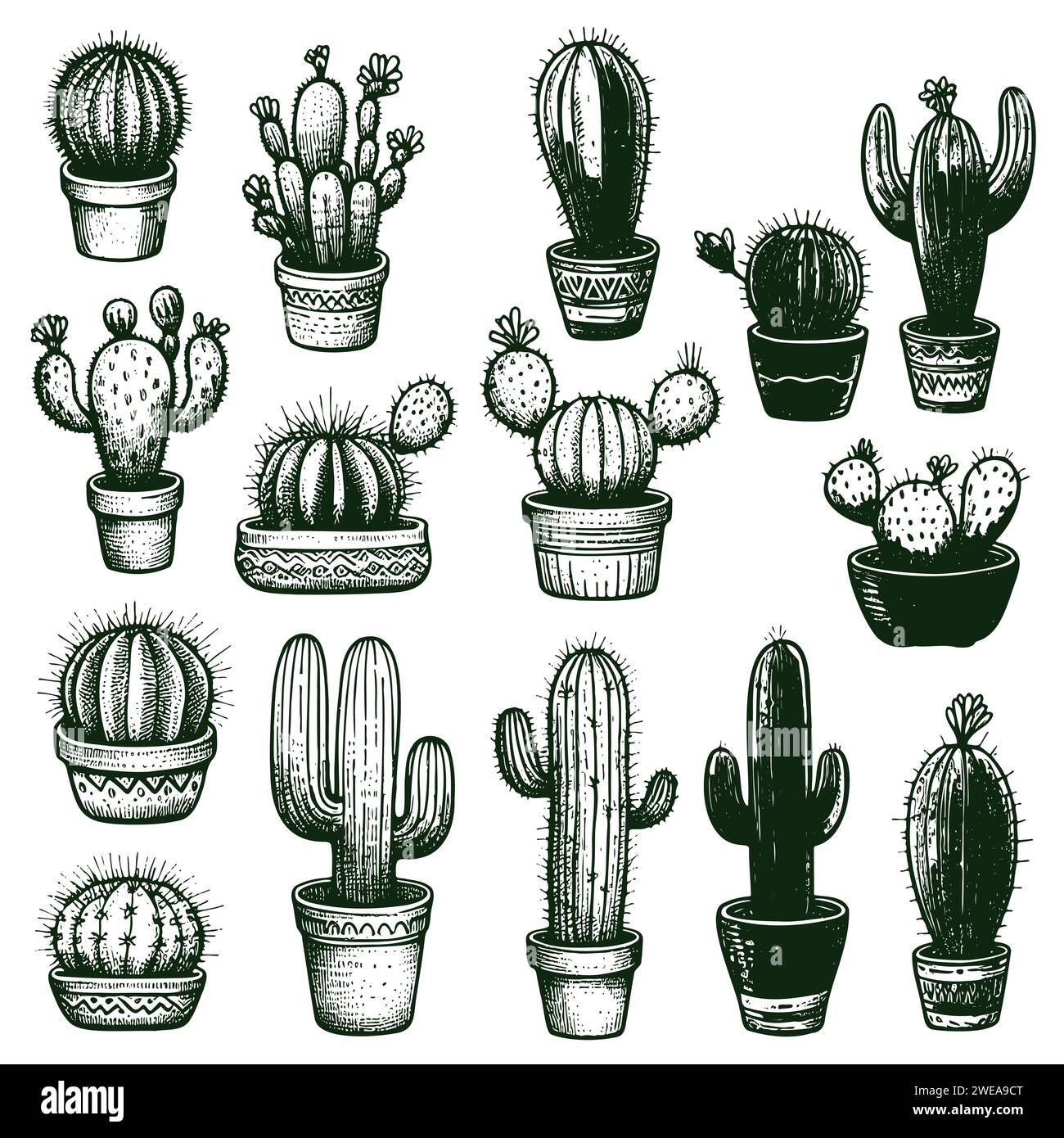 Hand Drawn cactus vector illustration. A set of vector illustration ...