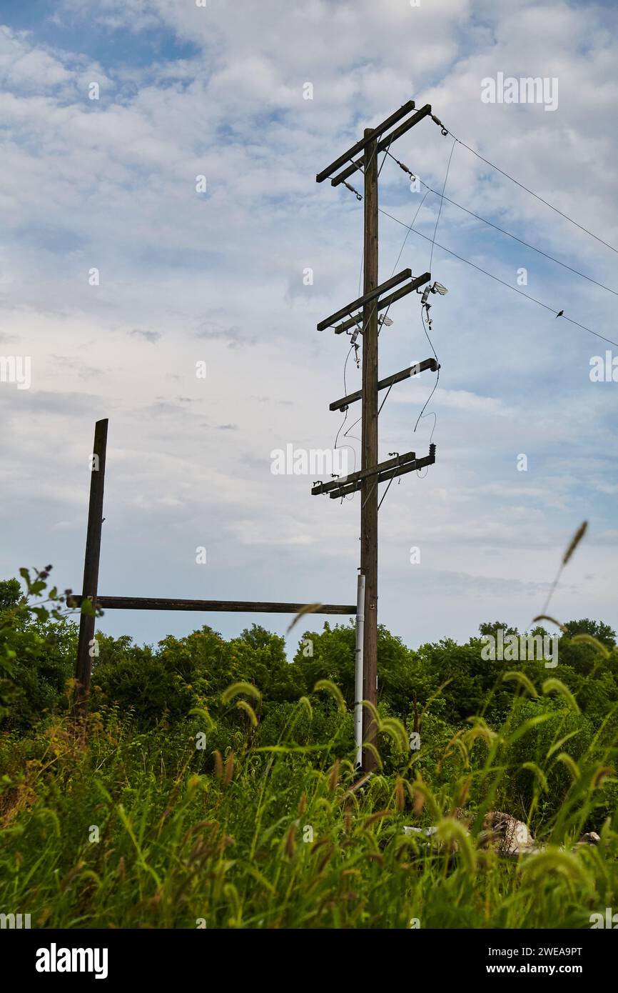 Neglected Utility Pole with Overgrown Vegetation, Rural Ohio Stock ...