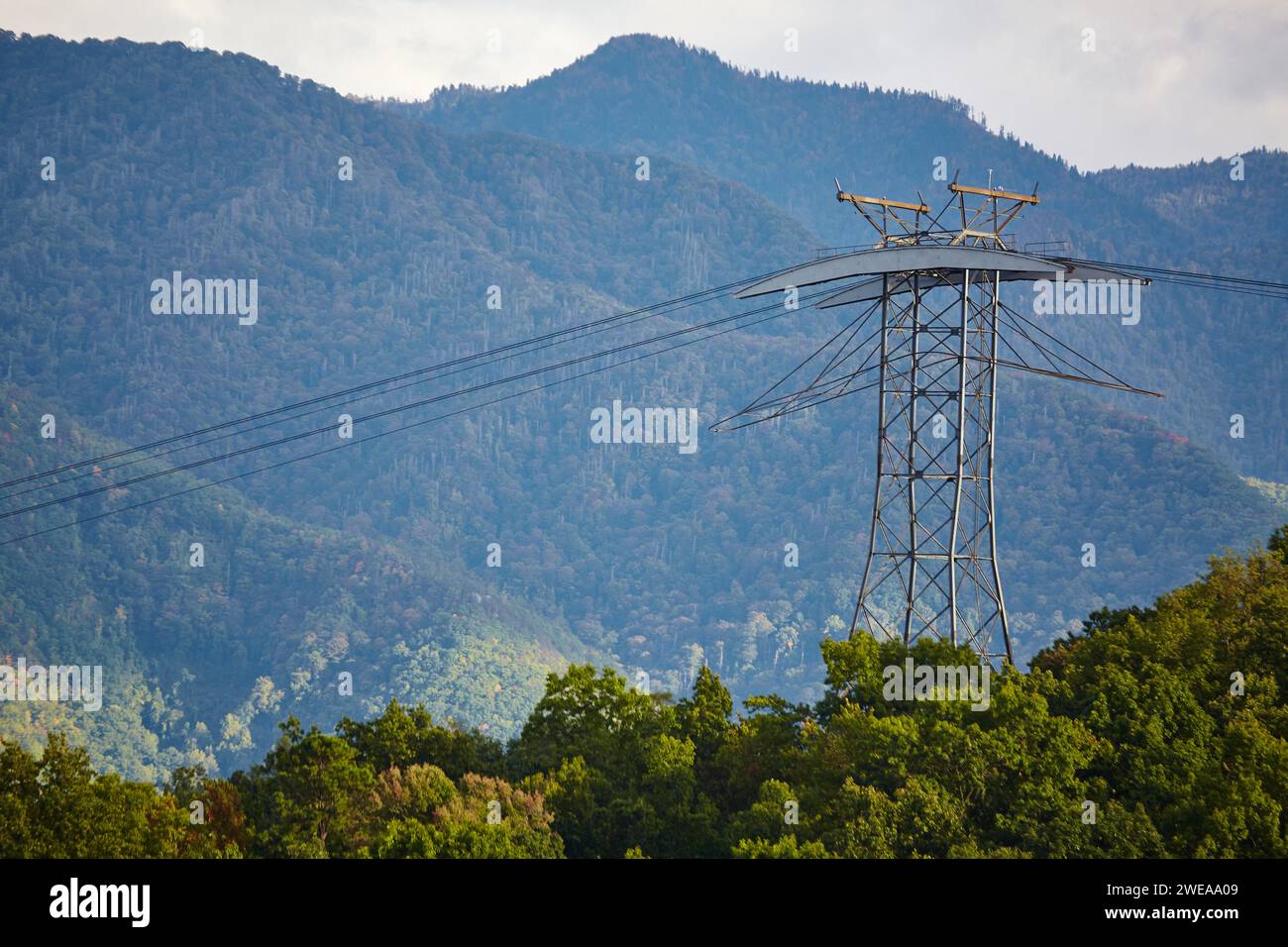 Electricity Pylon in Forested Mountains - Human and Nature Contrast ...