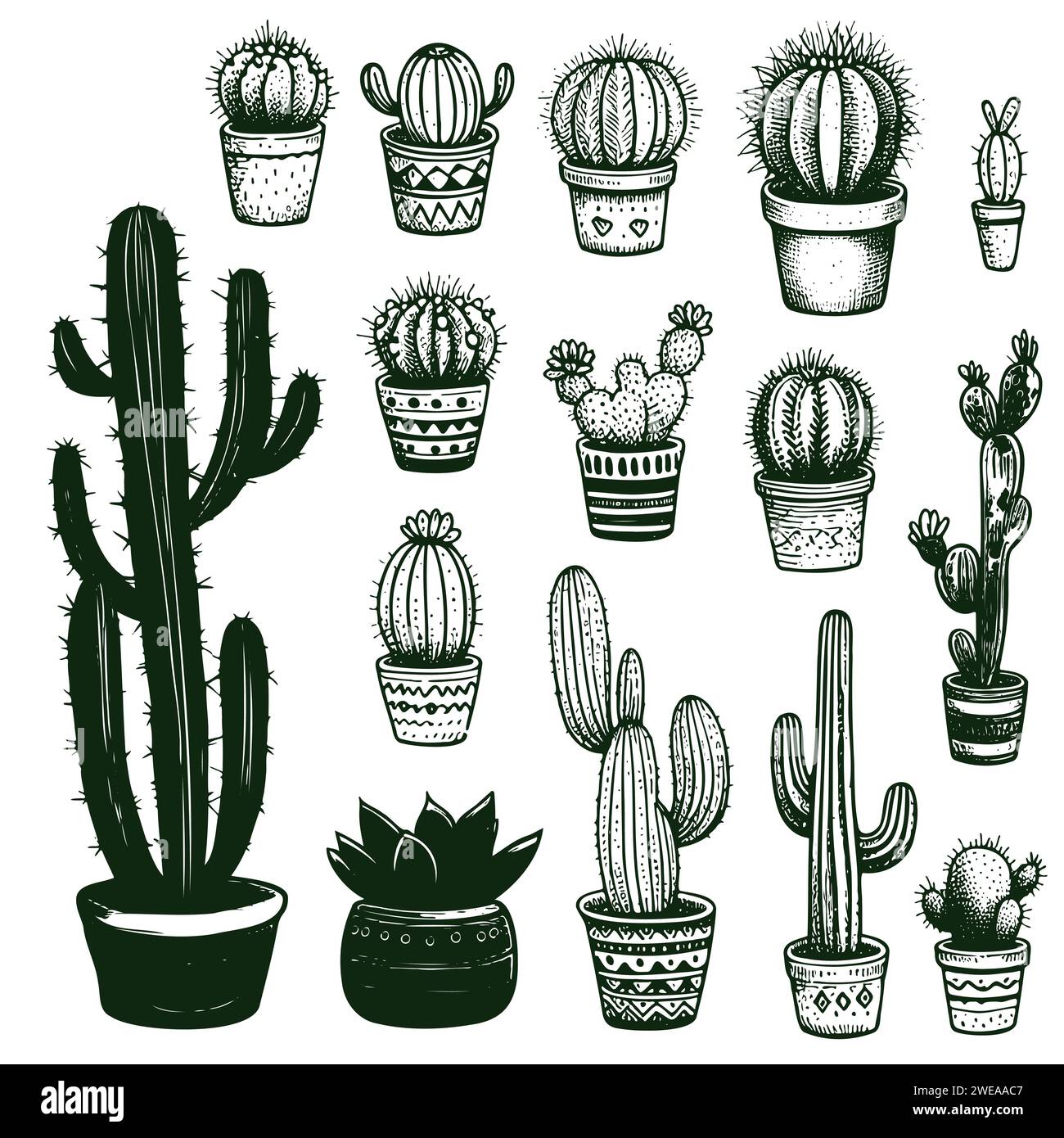 Hand drawn cactus. Western desert cacti mexican plants in sketch style ...