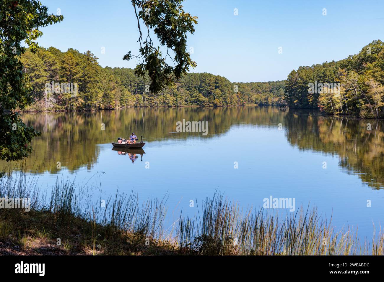 Pin oak campground hi-res stock photography and images - Alamy