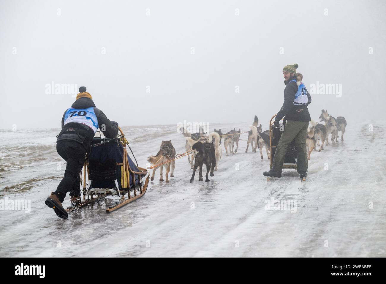 Czech Republic, January 24, 2024. Mushers and their dog teams during ...