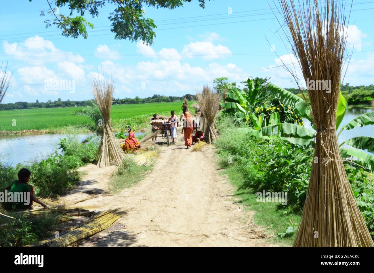 Jute firewood hi-res stock photography and images - Alamy