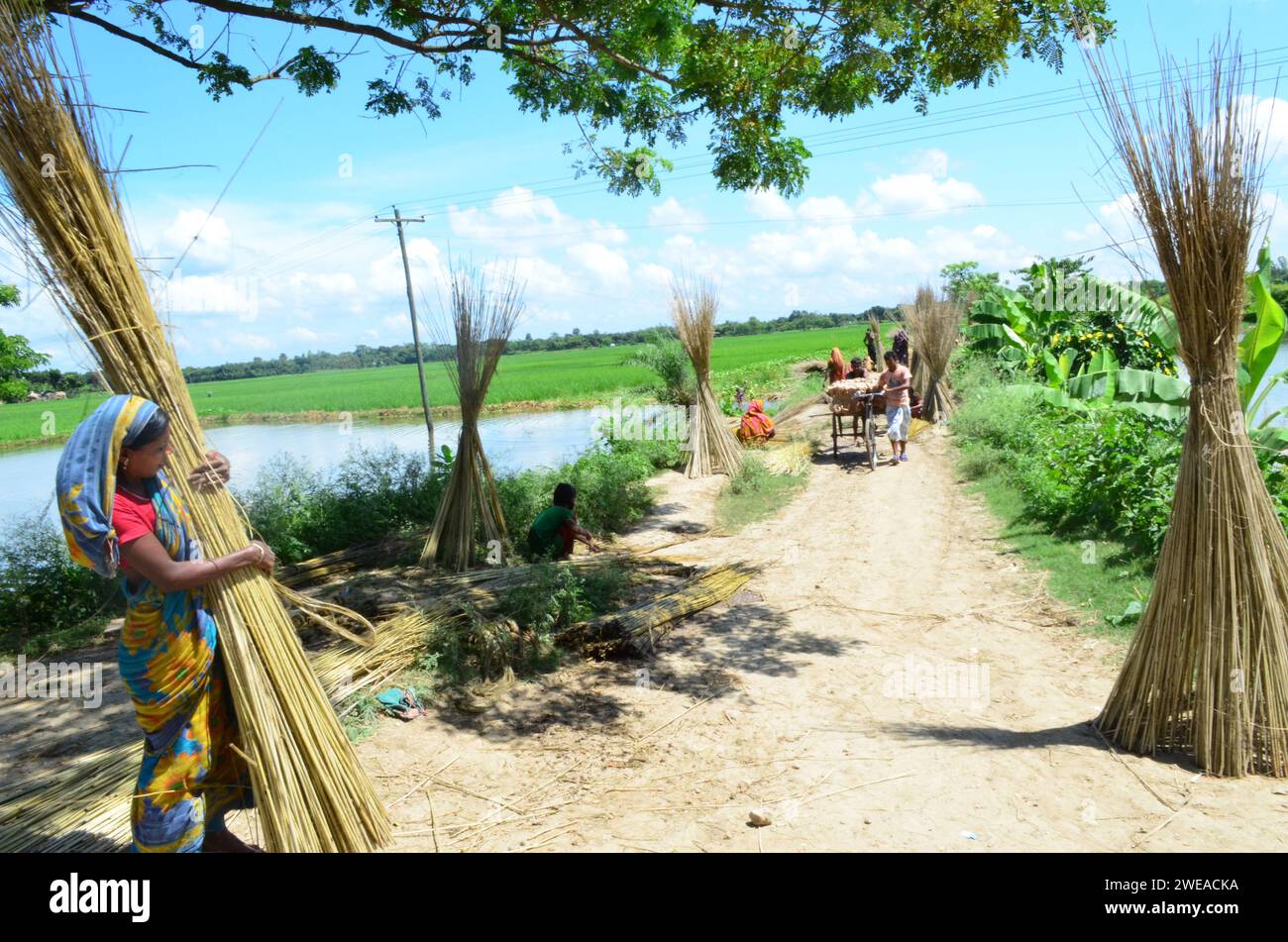 Jute ash hi-res stock photography and images - Alamy