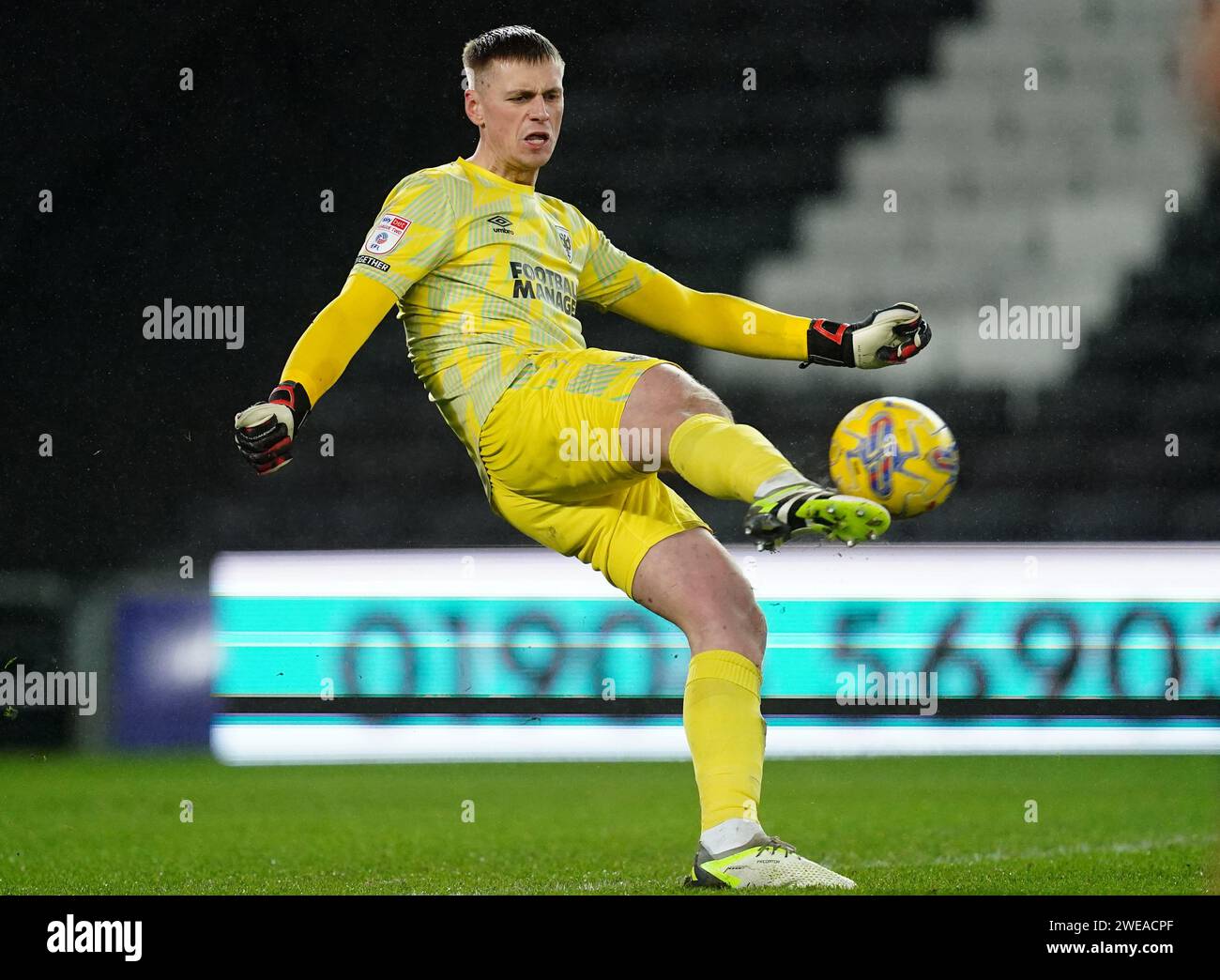 English bass hi-res stock photography and images - Alamy