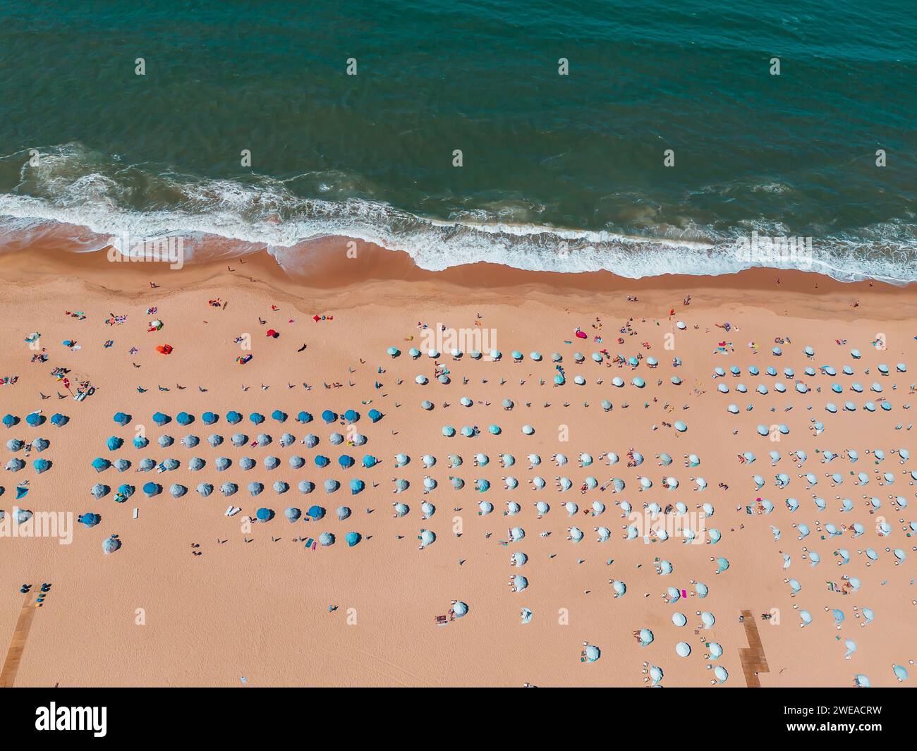 Nazaré Reverie: A Mesmerizing Aerial View of Atlantic Waves Embracing ...