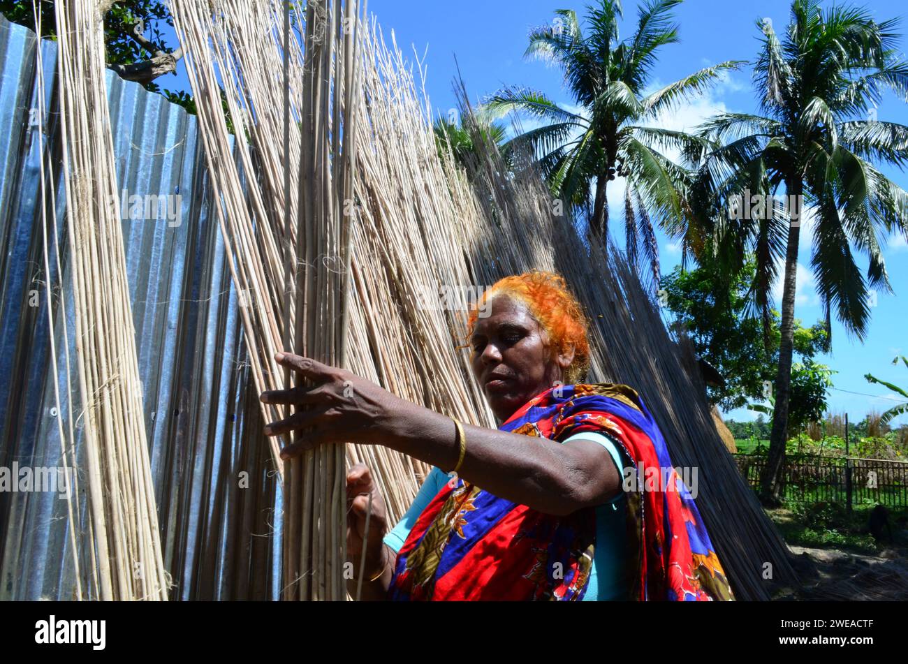 Jute ash hi-res stock photography and images - Alamy