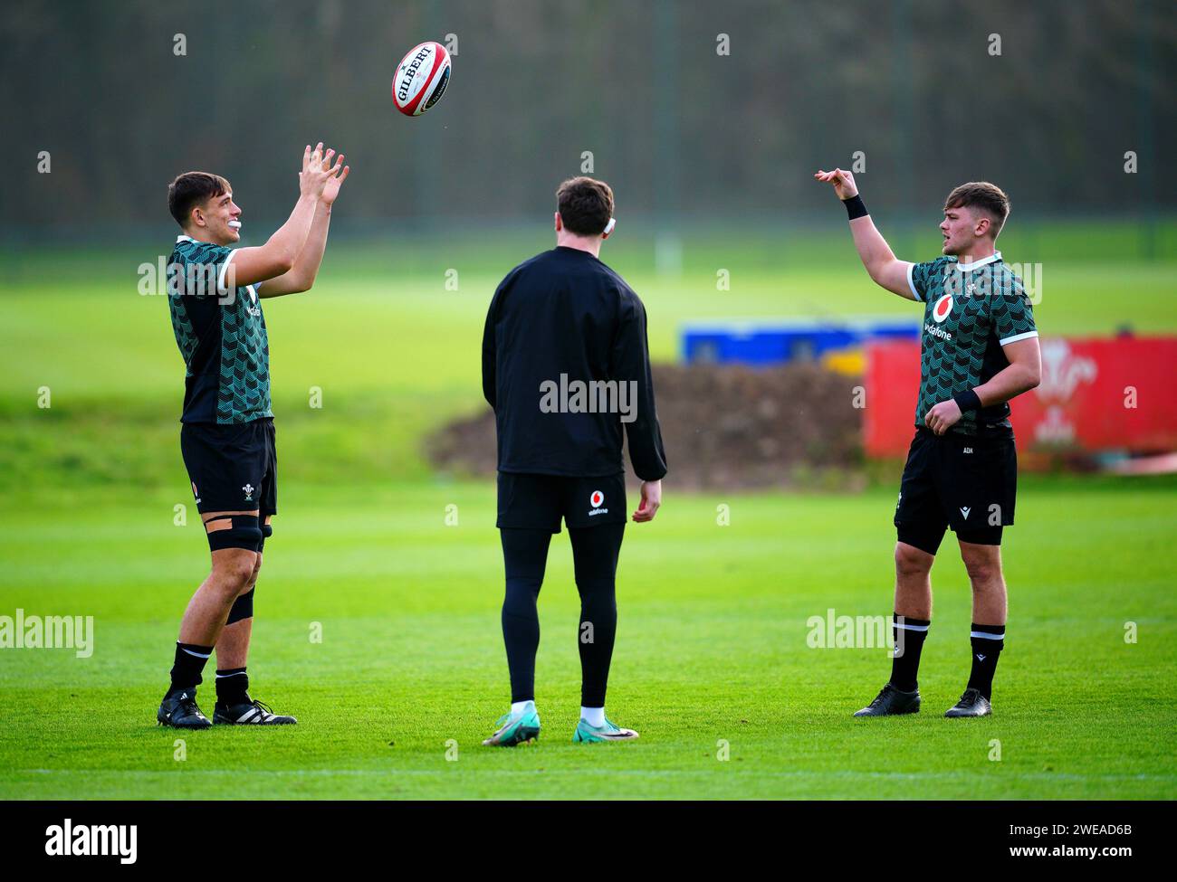 Alex mann hi-res stock photography and images - Alamy